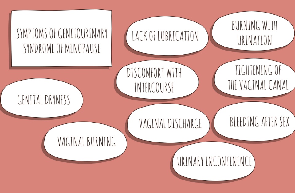 Menopause Matters: Spotlight on Genitourinary Health